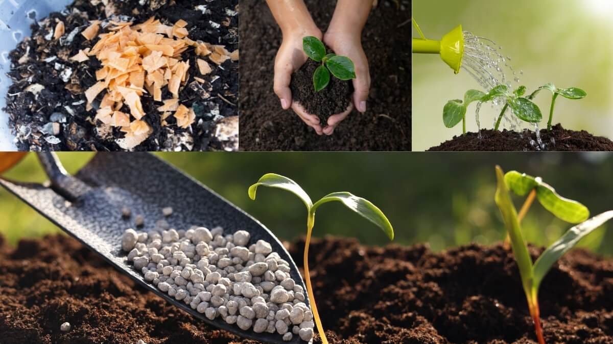 🌱 Did you know that different parts of plants can serve as food sources ...