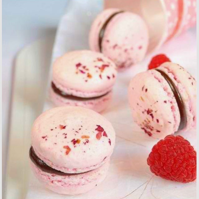 MACAROON LOTUS BISKUIT BANDUNG !!! JUAL - Fachoco Macaron - Medium