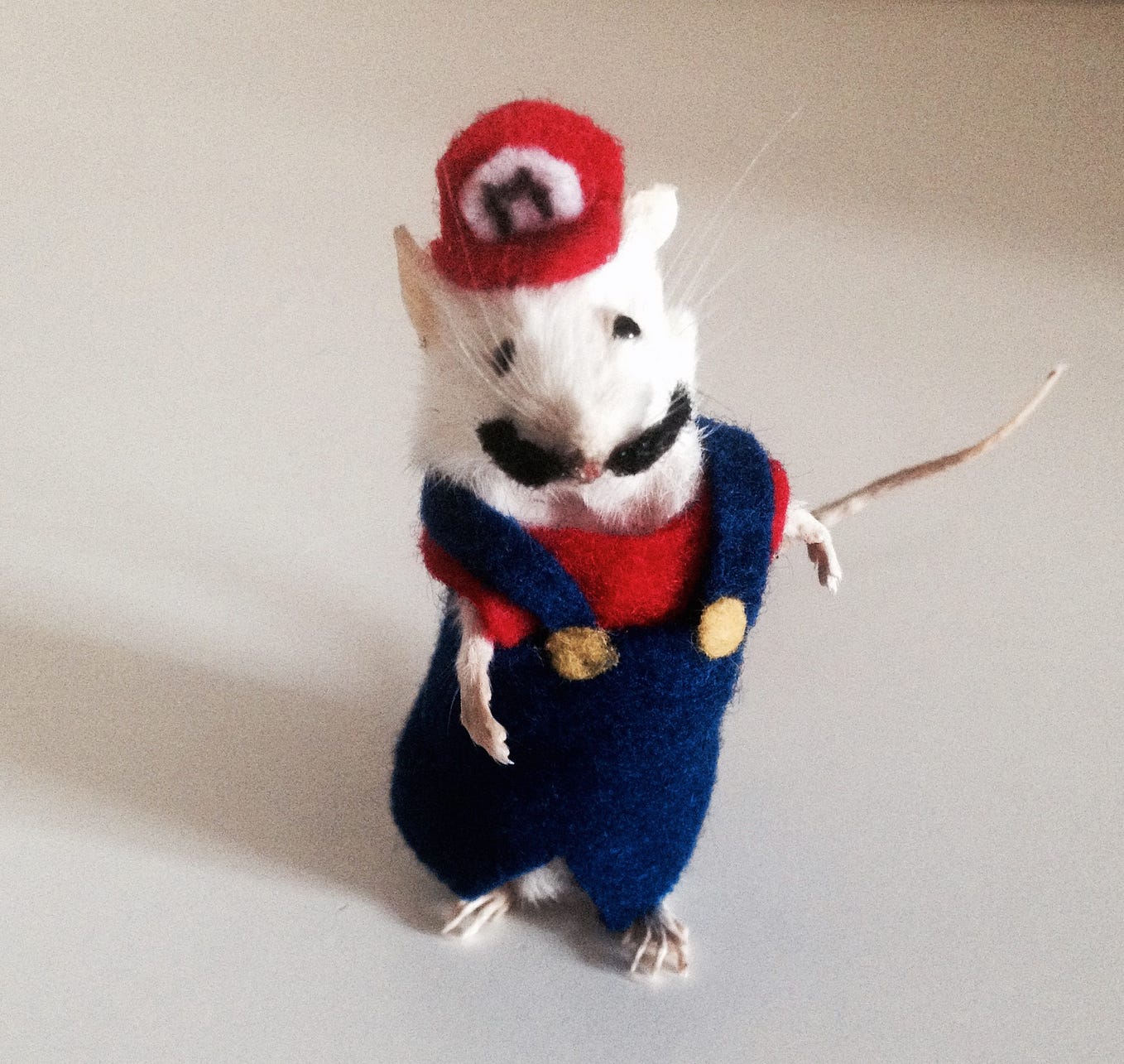 Recall, Precision, F1, ROC, AUC, and everything | by Ofir Shalev ...