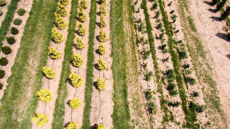 A GSB-Genie in a Bottle. “If a genie could grant you the… | by Sami ...