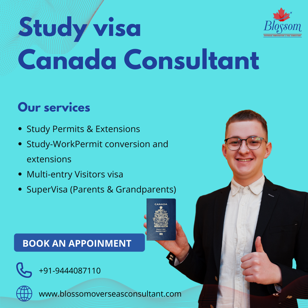 Study Visa Consultant - blossom overseas consultant - Medium