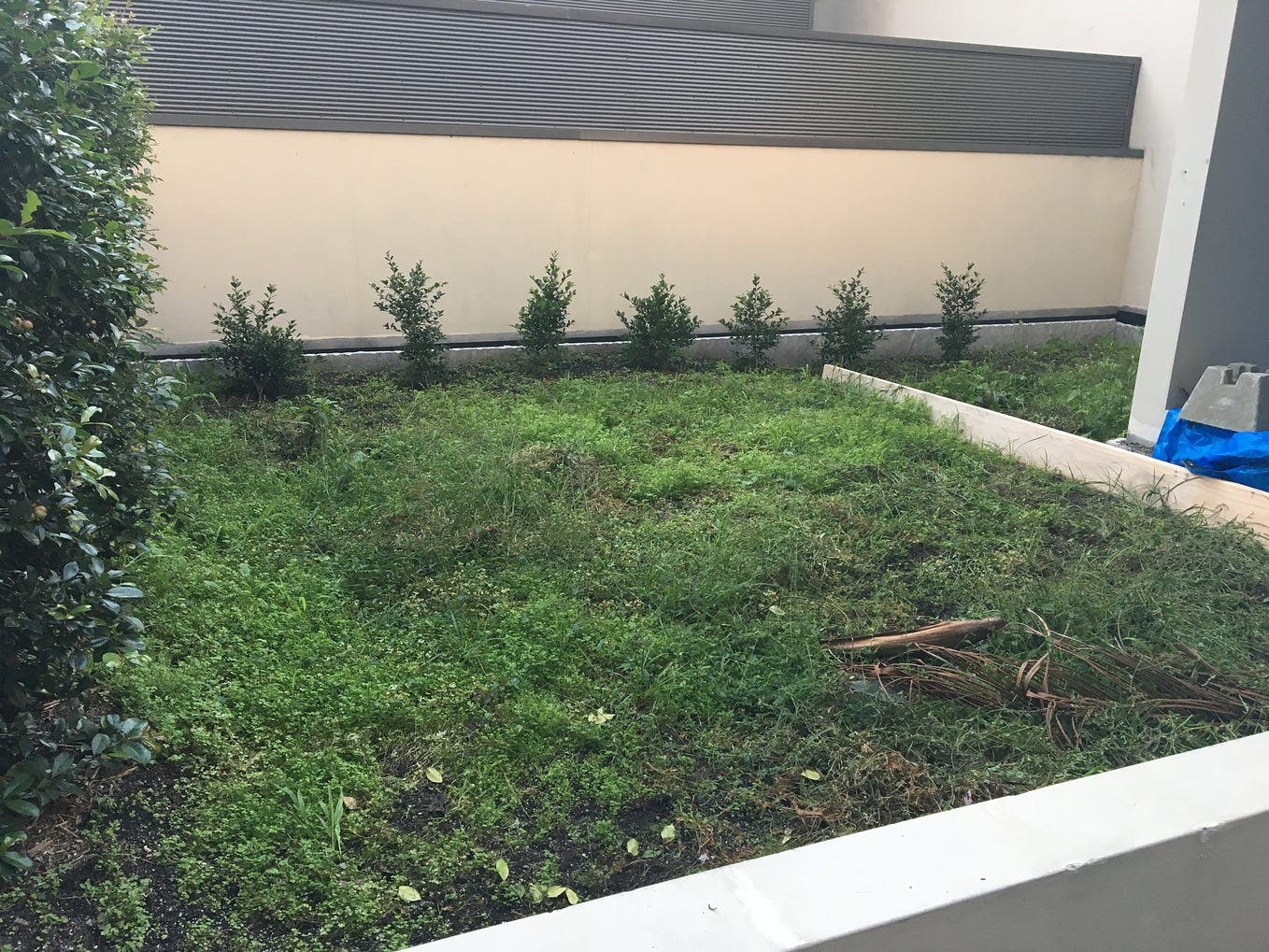 Copy Dynamics 365 Data To Sql Server Database With Power Automate By Slava Gorbunov Medium