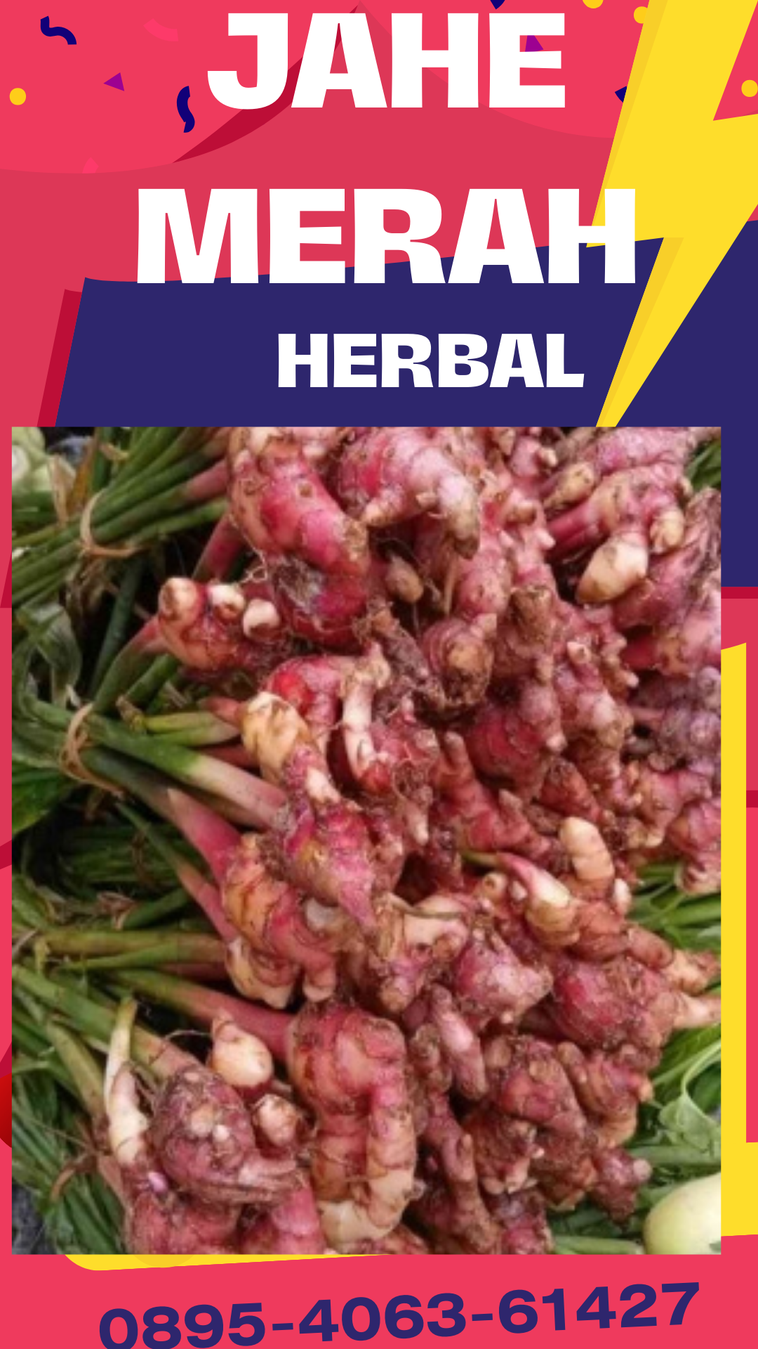 0895–4063–61427(Tel/Wa), distributor jahe merah di purwokerto ...