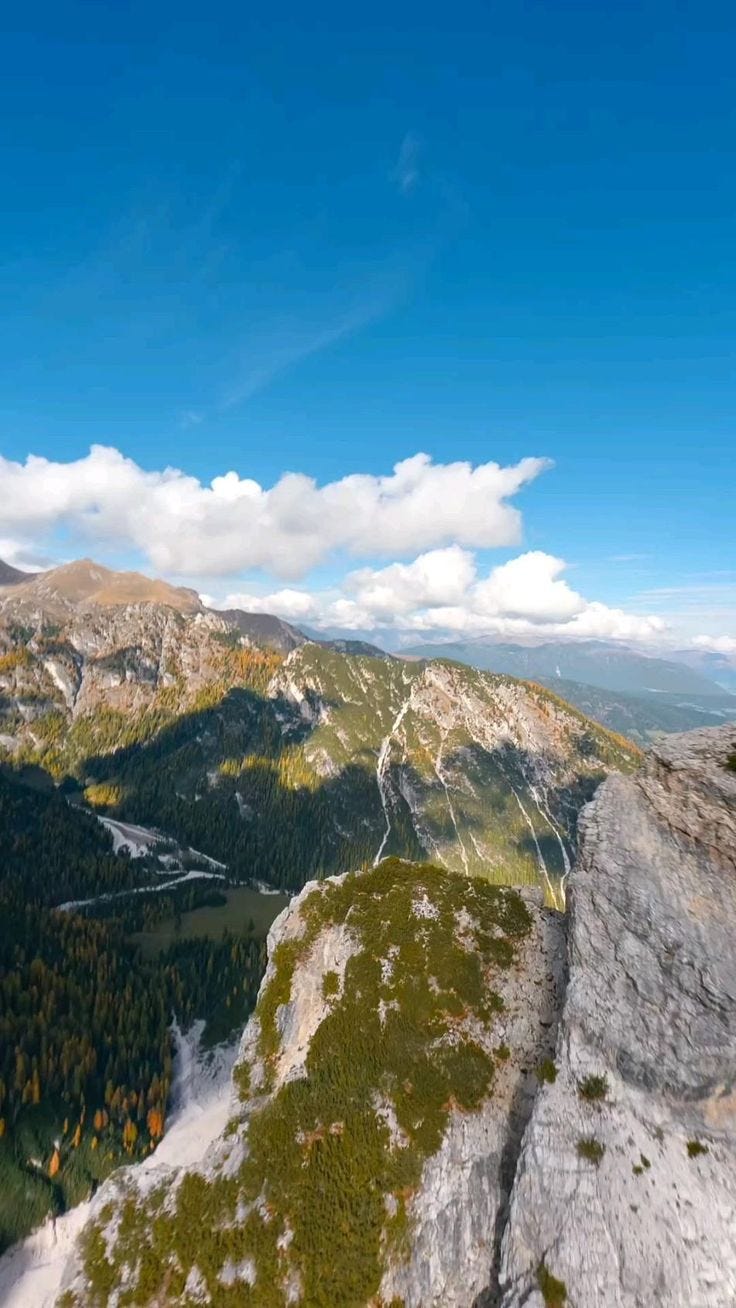 Mountains and Their Ecosystems: Exploring Alpine Biodiversity | by ...