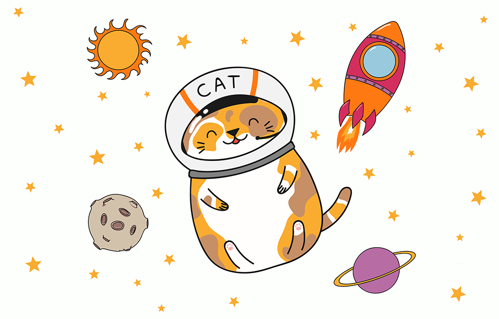 A Complete Quickstart to React for Dummies | by Explore Hacks | JavaScript in Plain English