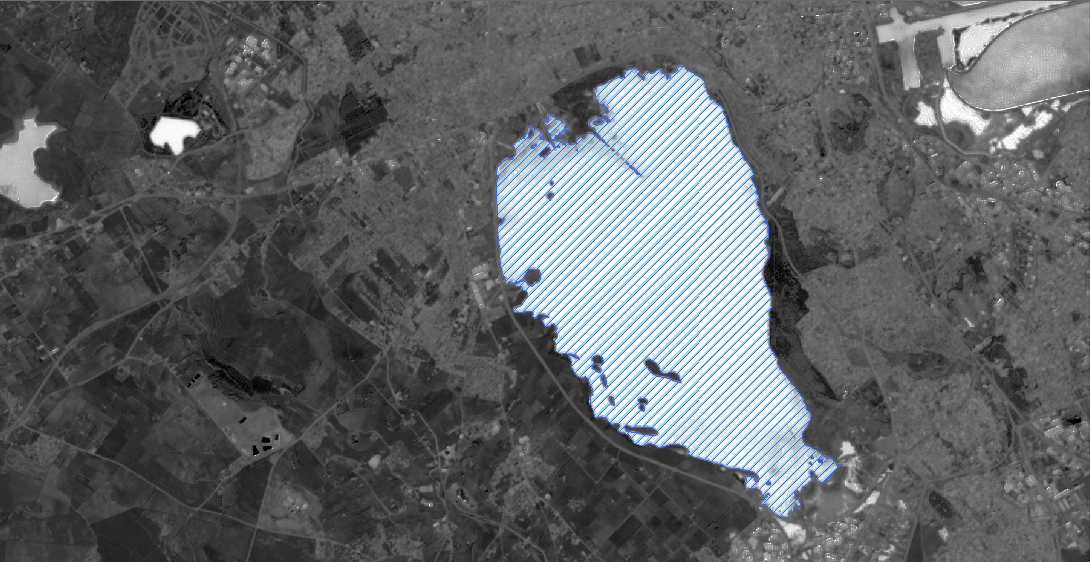 Lemon Dataset Data Augmentation I SoftwareMill Tech Blog | SoftwareMill ...