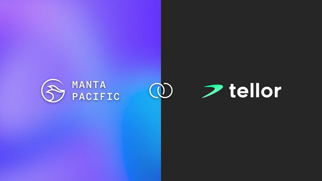 Mitra Besar Manta Network dan Polyhedra Network: Mengubah Blockchain ...