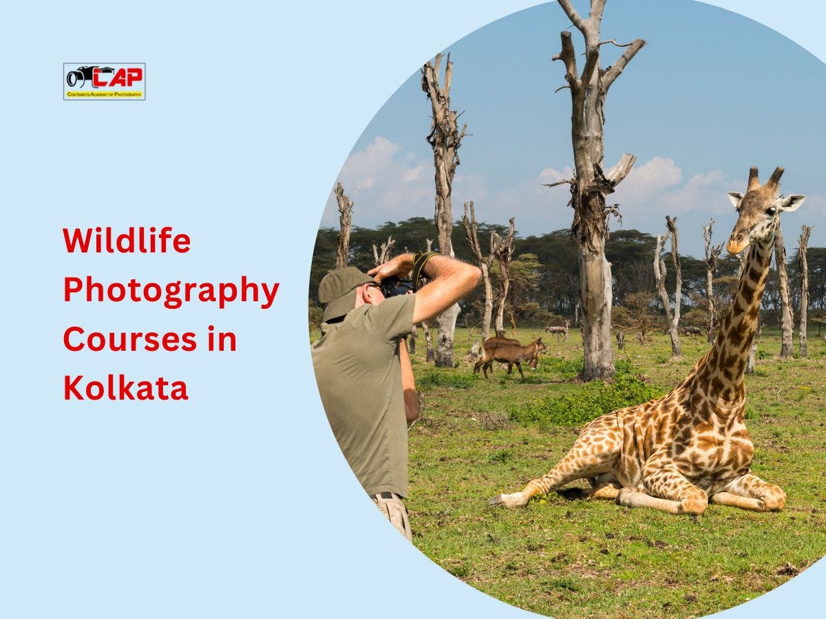 5 Tips to Become a Professional Photographer with our Photography Tips ...
