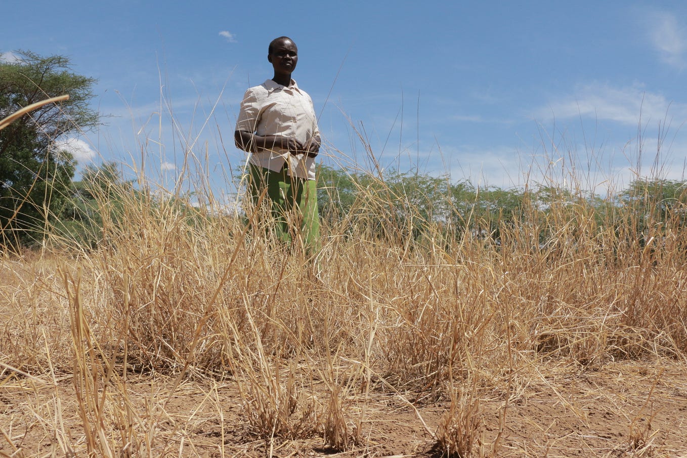 Bamba Chakula: A saviour in times of reduced rations in Kenya | by ...