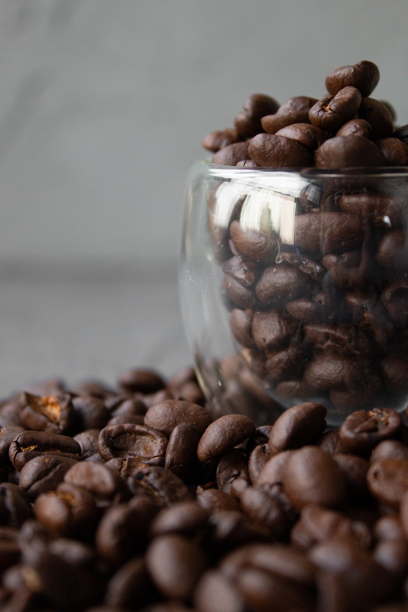 LIBERICA COFFEE BEANS. The first plantation of liberica coffee… | by ...