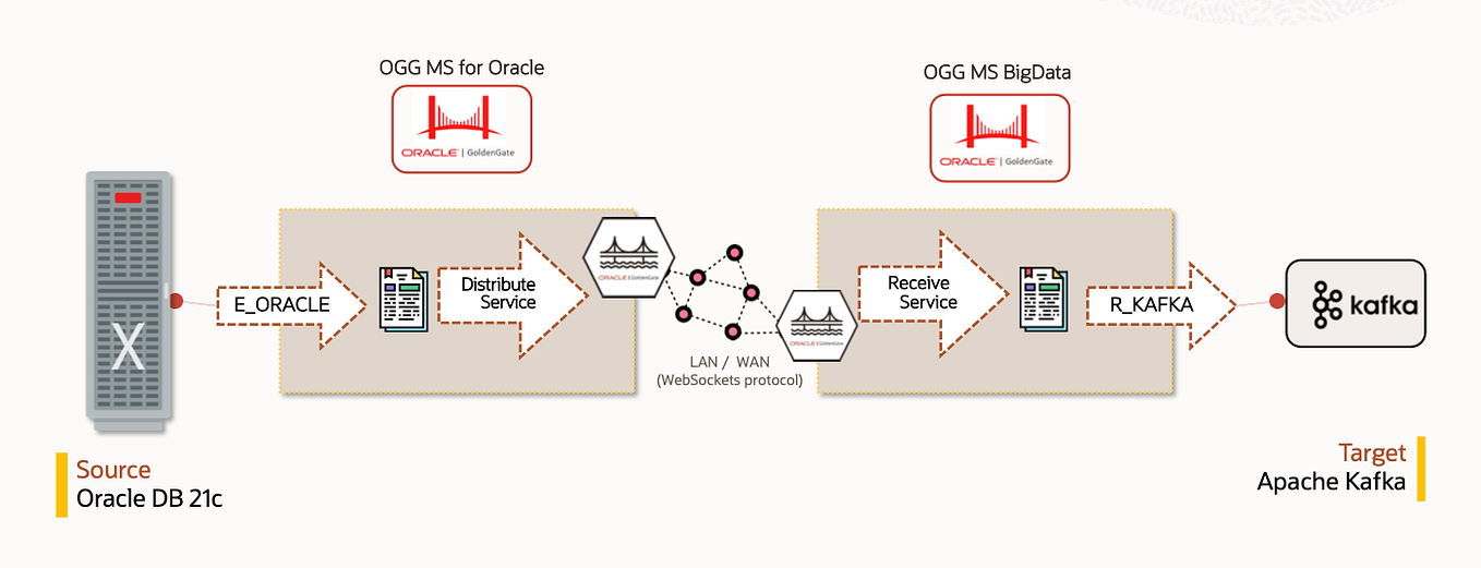 Setting up Oracle Database 23ai with AI Vector Search | by Jan Leemans ...