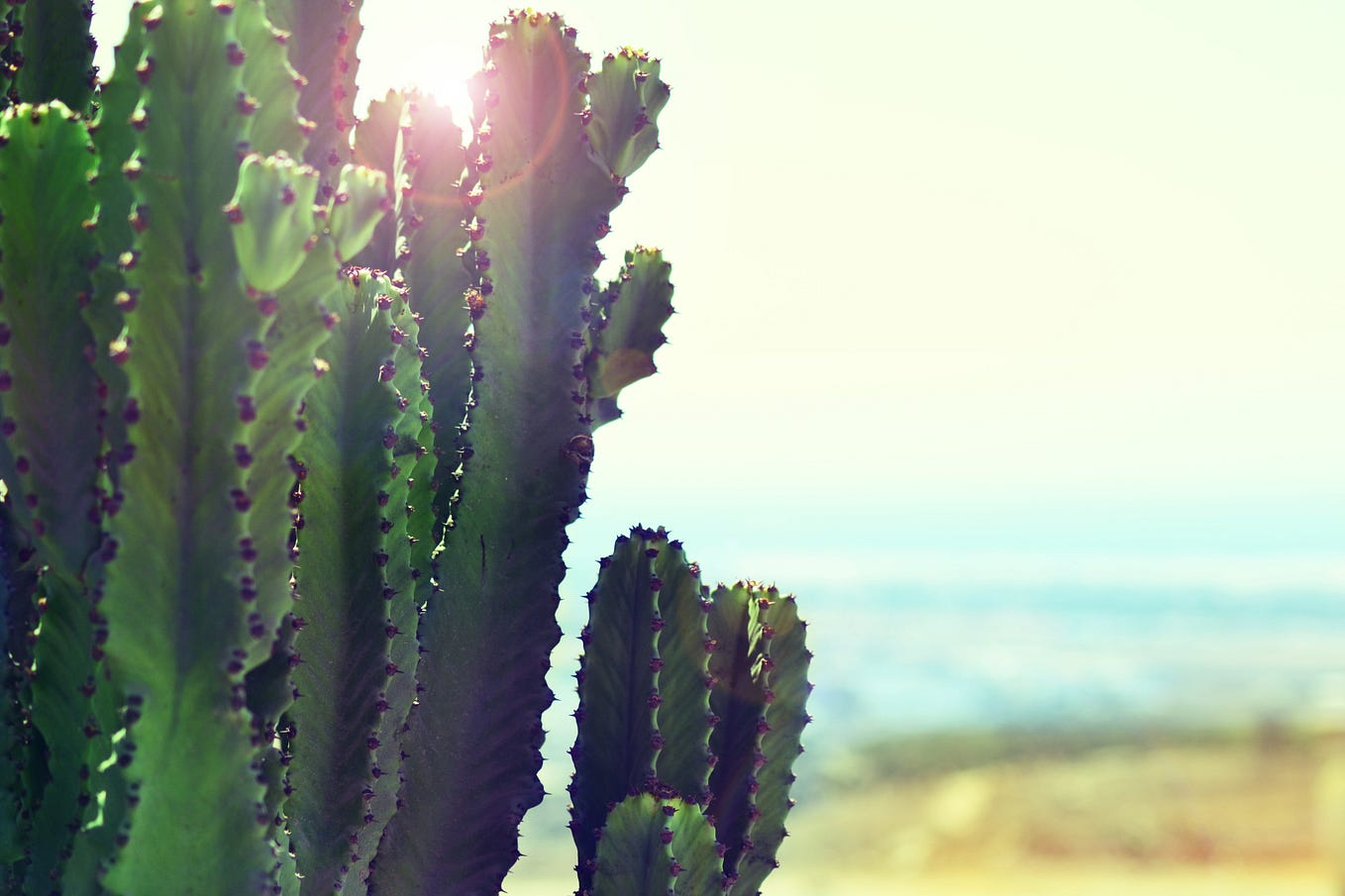 Simple steps toward creating a compelling UX presentation | by Bob ...