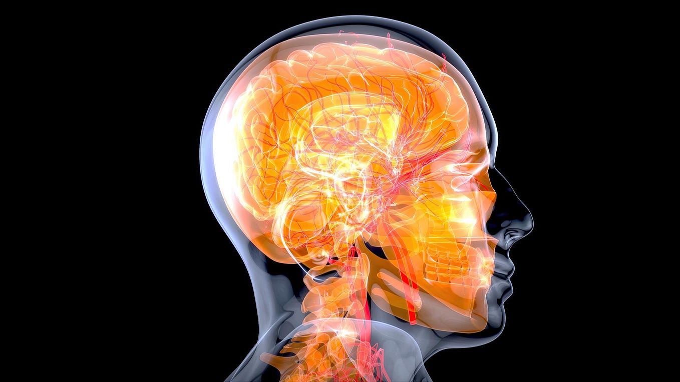 Exceptional Top Neurologist in Glendale CA Meet the Experts | by Socal ...