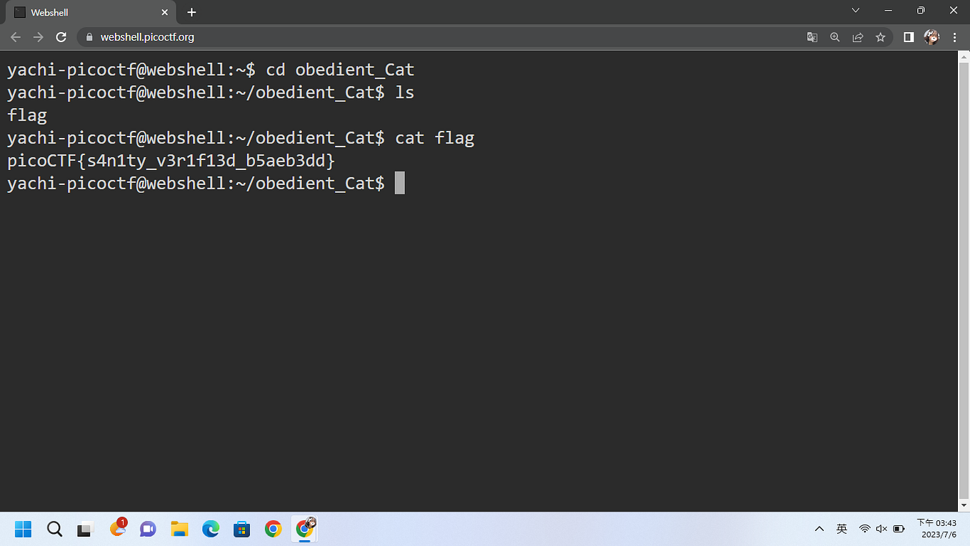7/5 picoCTF-Wave A Flag - yang ya chi - Medium