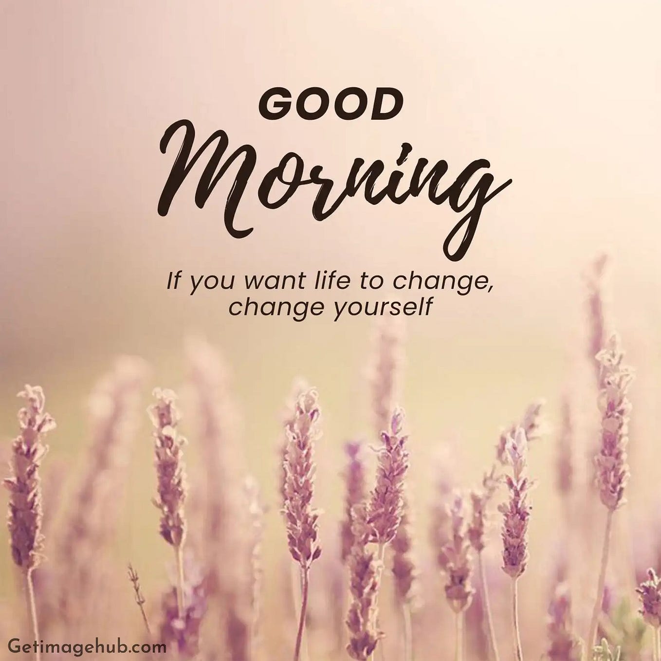 Village Good Morning Images - Getimagehub - Medium