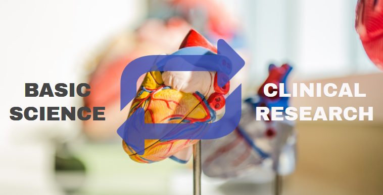 Getting Your Message Out. Using Visuals to Communicate Health… | by ...