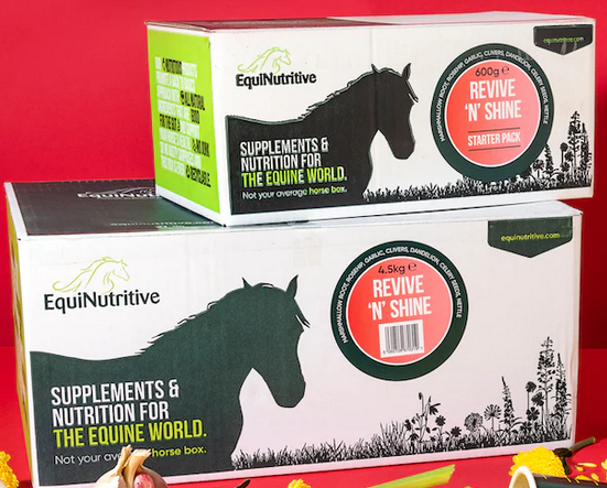 Horse Supplements: An Overview, The Types, Benefits and How to Choose ...