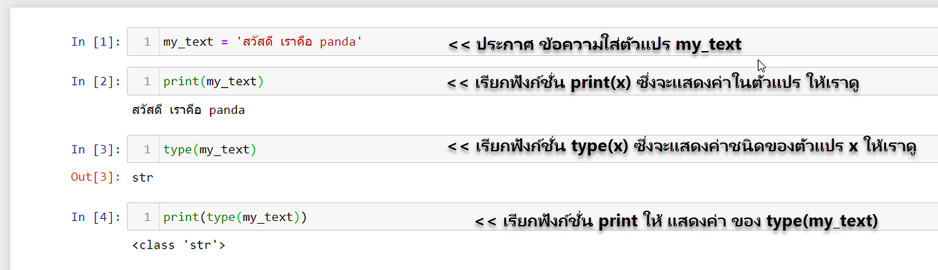 00 — Pandas ?? Python ??. ทำไมเราไม่เกริ่นเรื่องด้วยคำว่า Python… | by Panda Pro Pandas | Medium