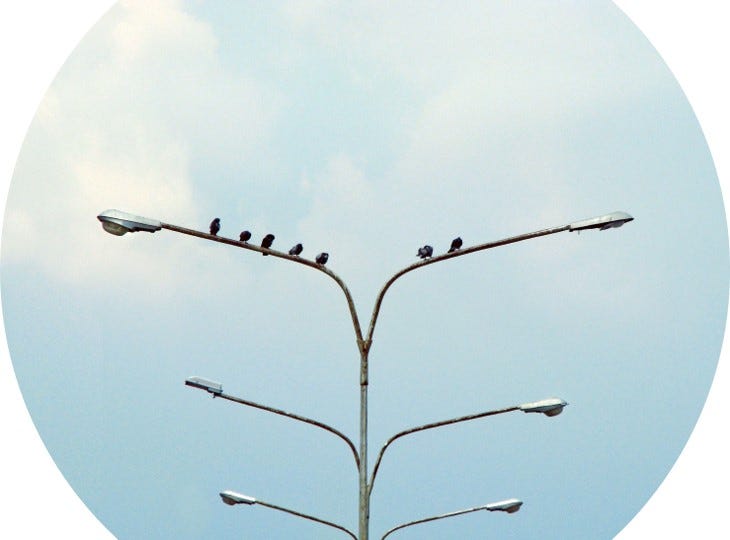 Logistic Regression and the Feature Scaling Ensemble | by Dr. Dave Guggenheim | TDS Archive | Medium