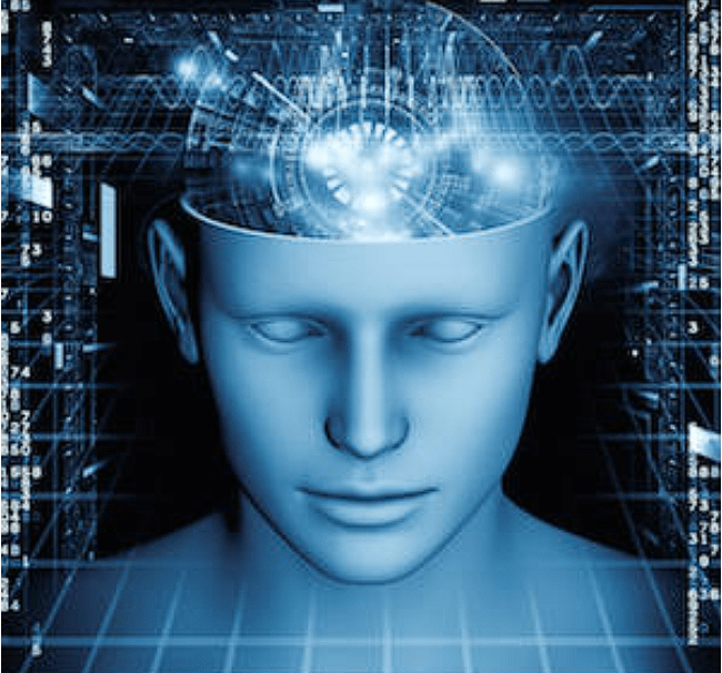 Django Robotics Builds Overseas Warehouse Visualization Fulfillment ...