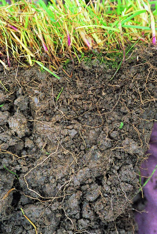Handy Tips To Know Your Soil Type and Soil Texture | by oliver moore ...