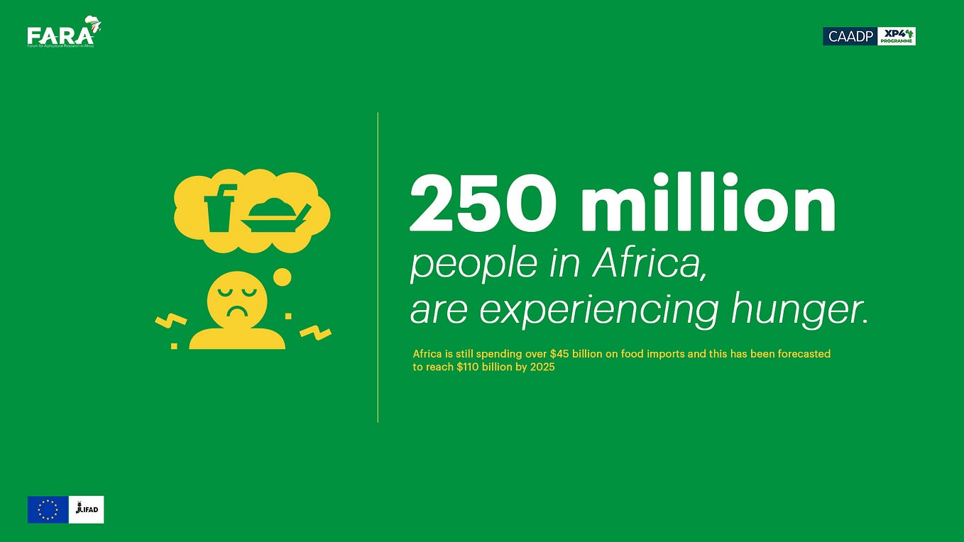 Harnessing the Potentials of Farming to Create Wealth | by Fara Africa ...