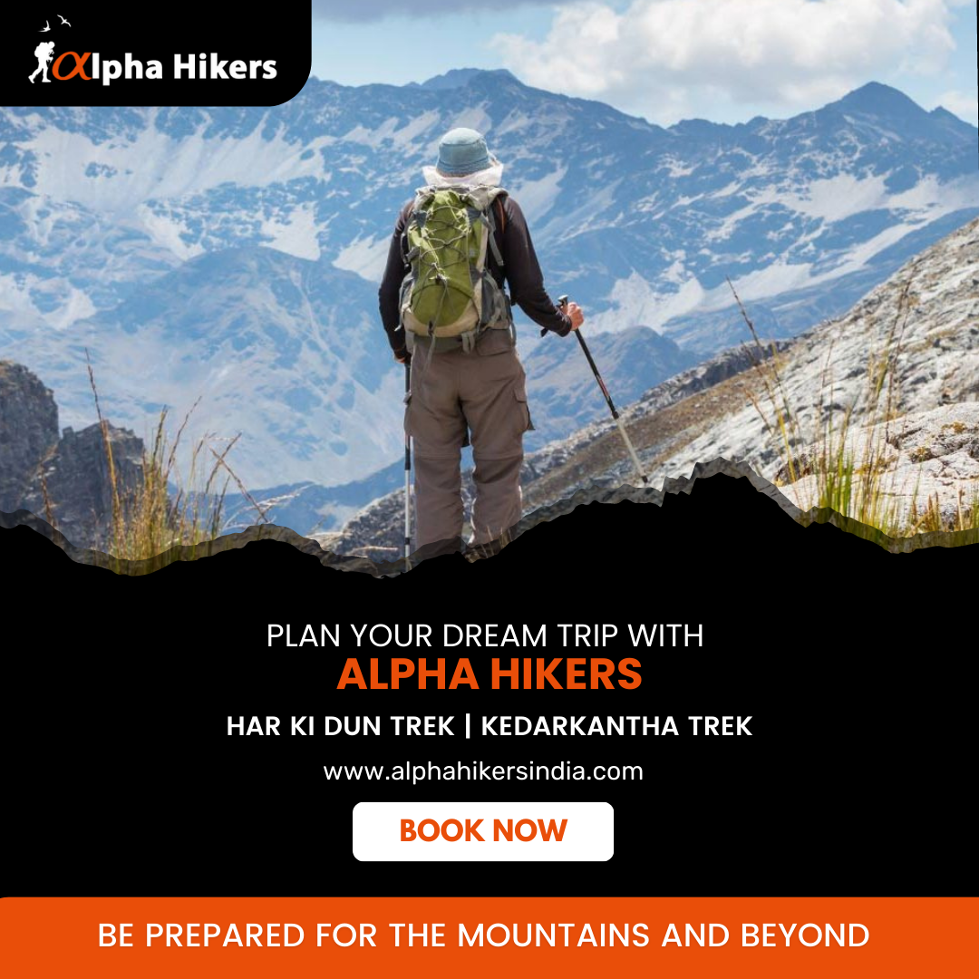 Exploring the Majestic Himalayas with Alpha Hikers: Unveiling the ...