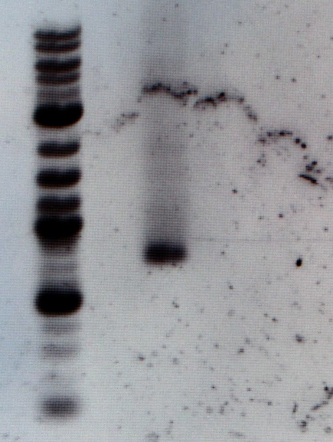 Using AI to Design Materials from the Molecular Level Up | by Raphael ...
