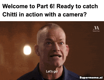 AVR Microcontroller Programming Handy with Cheat Sheet! - bhuvaneshwari ...