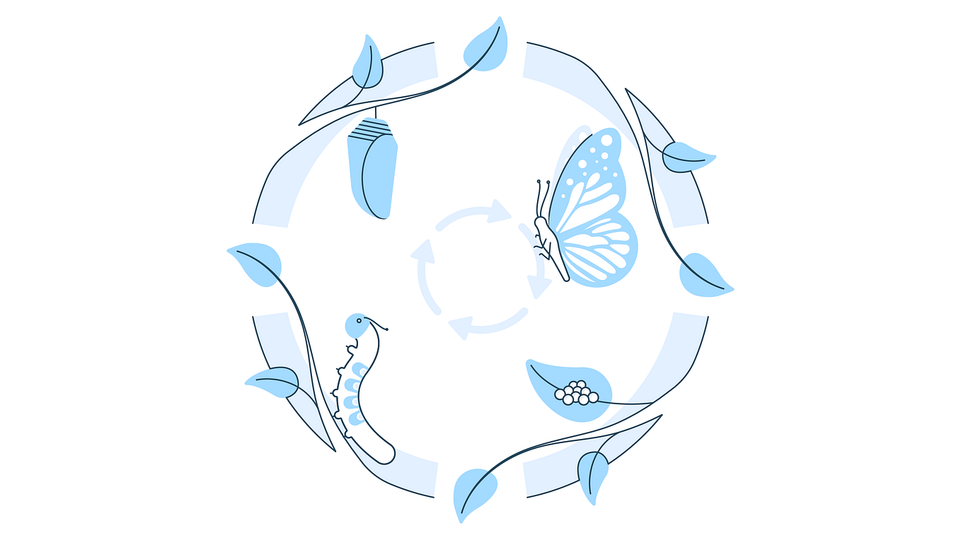 Creating Custom SF Symbols. The SF Symbols library is a great way… | by ...