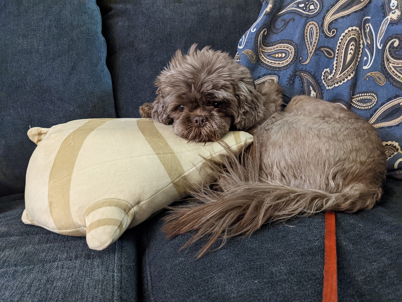 9 Mental Health Documentaries To Watch On Netflix And Amazon Prime | by ...