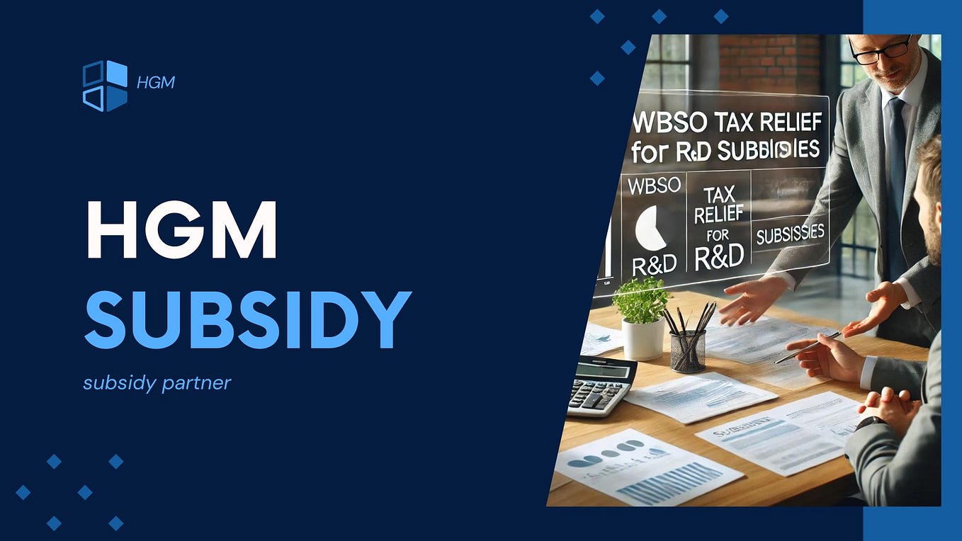Growth with Subsidy Partner, WBSO, and Tax Schemes | by HGM_Subsidies ...