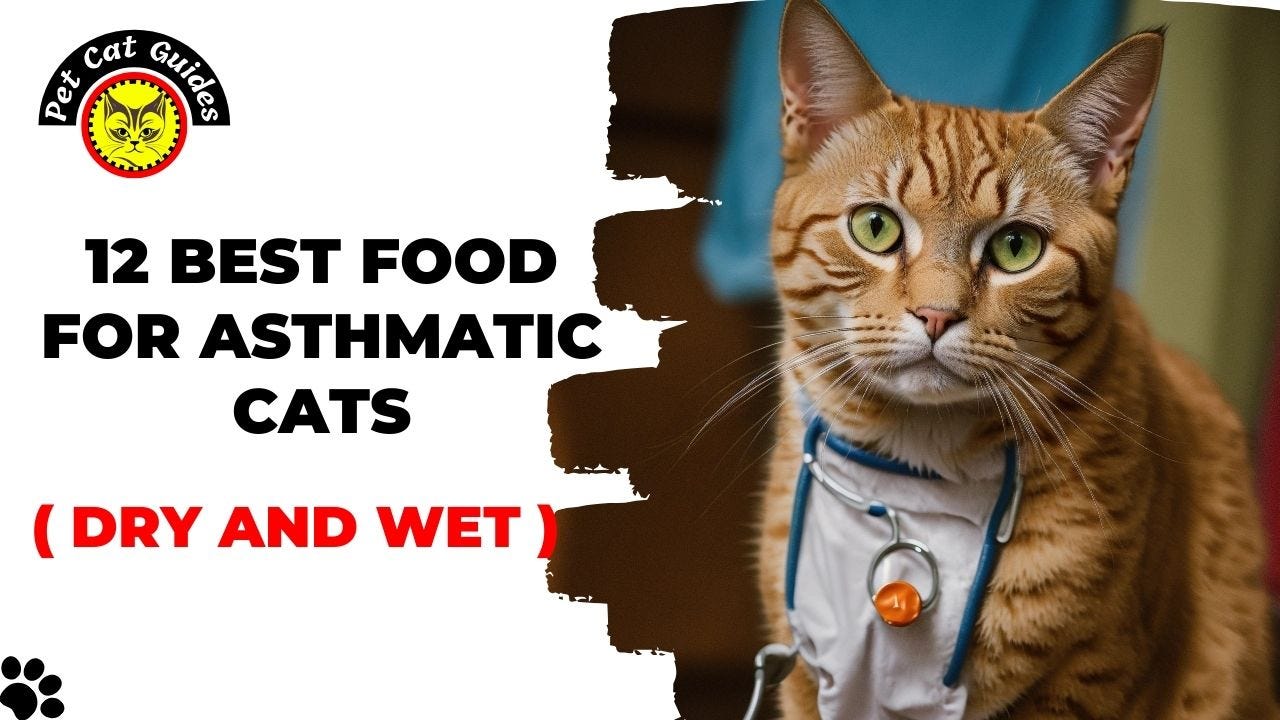 Top 10 Best Dry Cat Foods of 2024 — (Reviews & Top Picks) - Pet Cat Guide - Medium