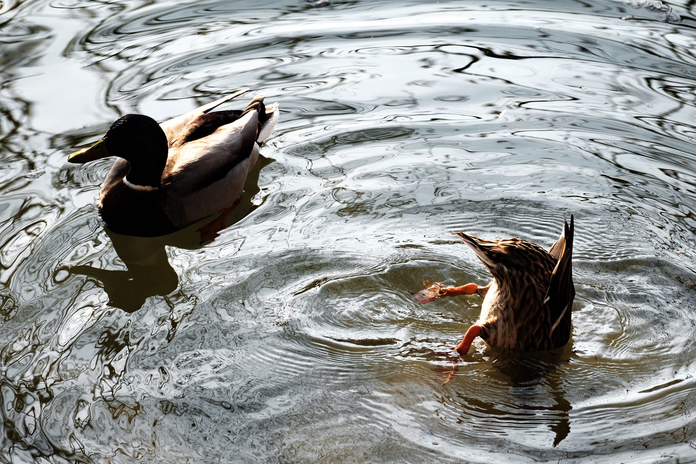 The Role of Photography in Society | by Light and Paper | Full Frame ...