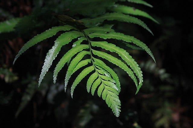 How To Load Data Faster Using Pyodbc Into A Ms Sql Server Database By