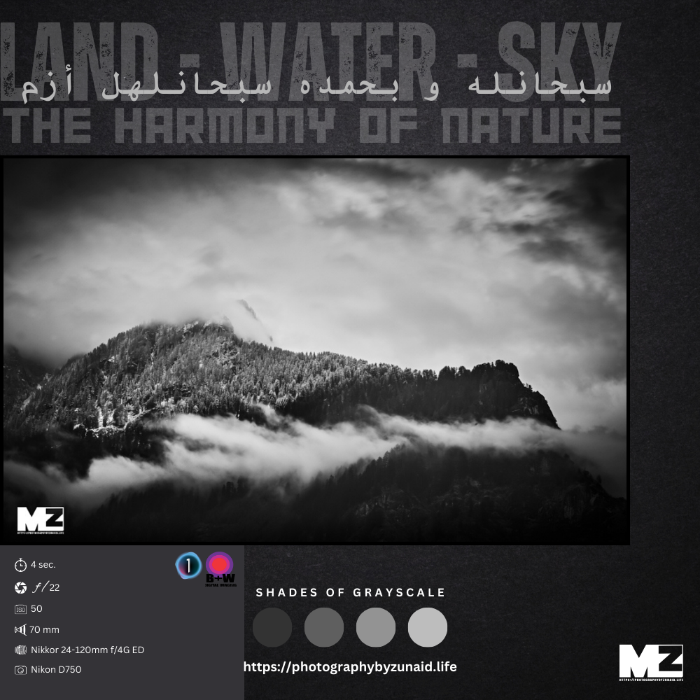 Nature Color Palette #22. In the enchanting world of… | by Mohamed ...