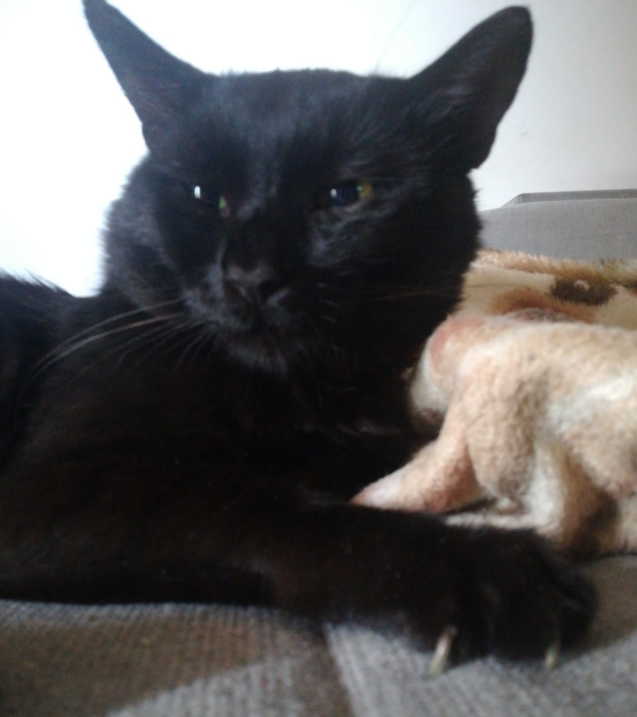 Say “NO” To Coding Tests. “Codility, LeetCode and HackerRank are… | by ...