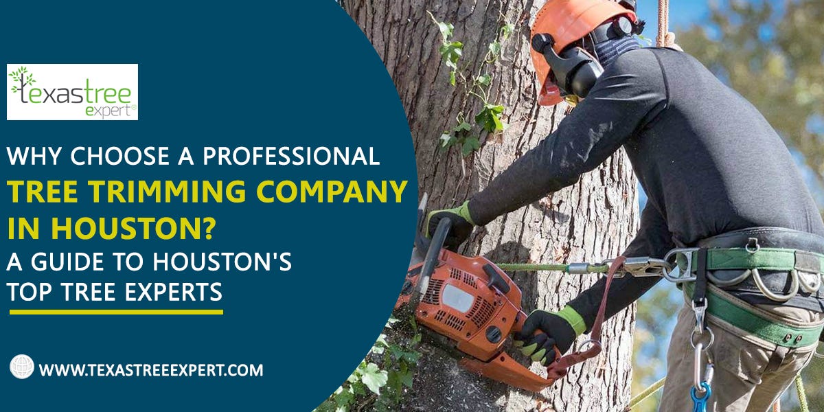 The Importance of Professional Tree Trimming Services | by Texas Tree ... The Importance of Professional Tree Trimming Services | by Texas Tree ...