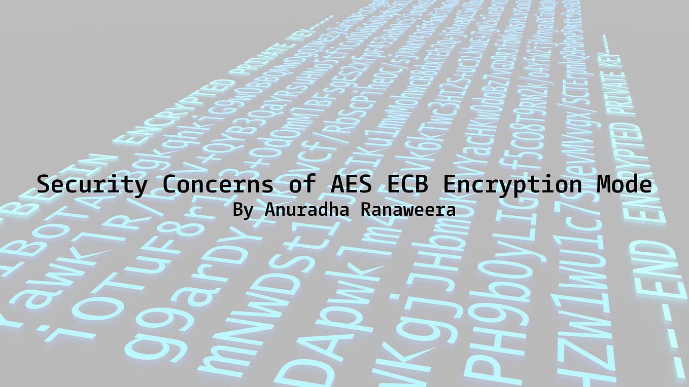 CTF Road Map for Beginners. Participating in Capture The Flag (CTF)… | by Anuradha Ranaweera ...