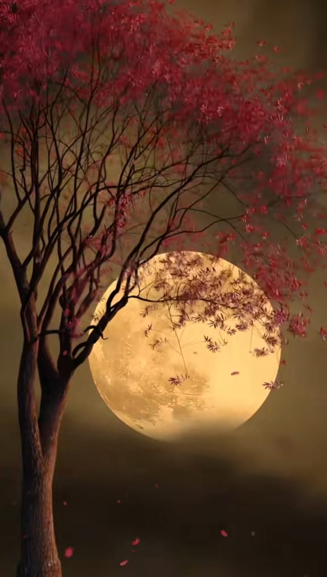 The Importance of Peace: Understanding its Significance in Our World ...