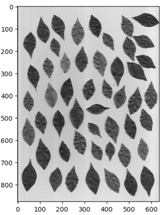 A Comprehensive Guide to Morphological Operations in Image Processing | by Gab Alenton | Medium