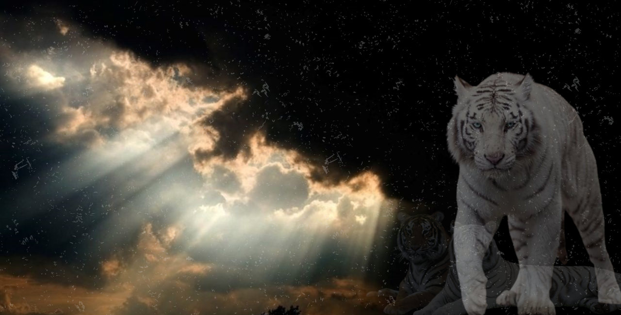 Python’s Magical F-Strings — A Detailed Guide | Medium