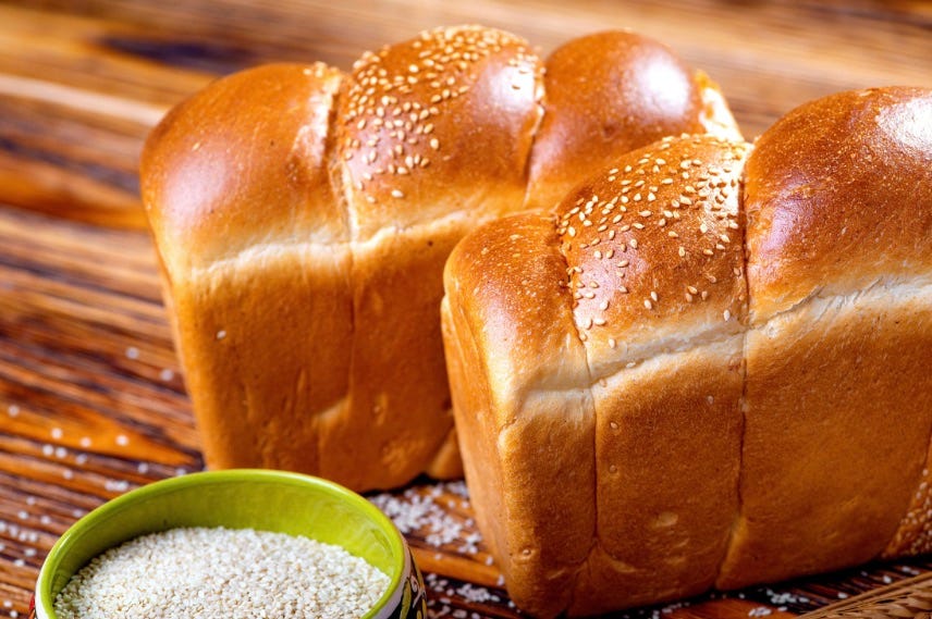 Hamster Rescue Squad Goes Fishing | by Laurie Leiker | It’s Child’s ...