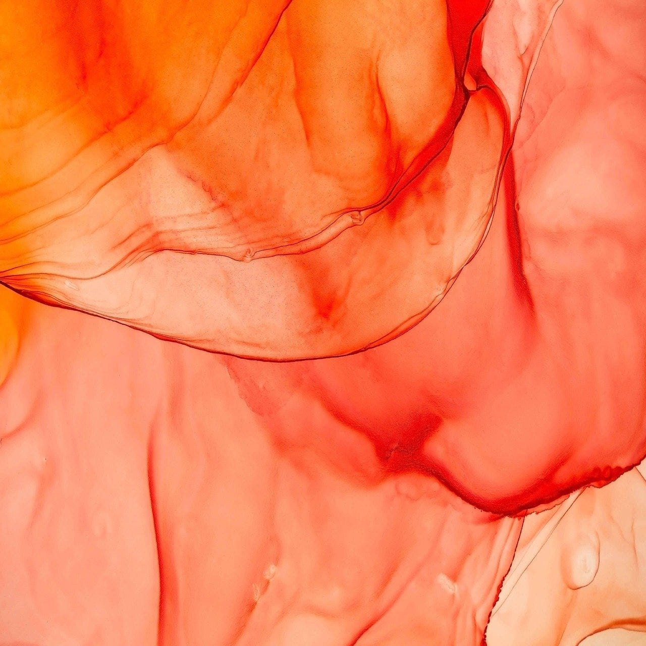 Nakshatra Gana — Deva, Rakshasa, Manushya | by Making Spirituality Real ...