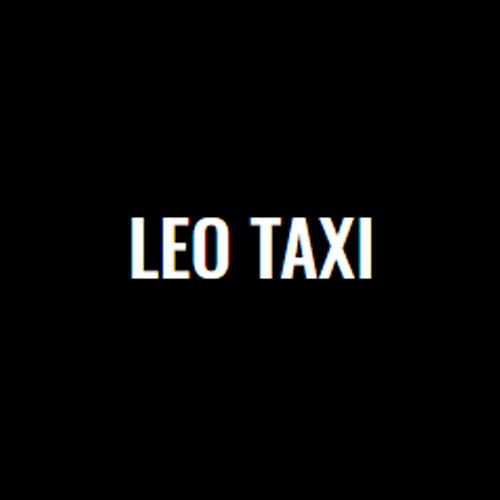 Leo Taxi - Zuric Limousine - Medium