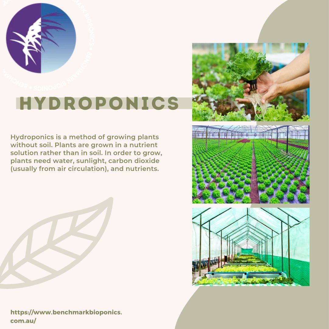 Hydroponics Melbourne. Hydroponics is a modern farming method… | by ...