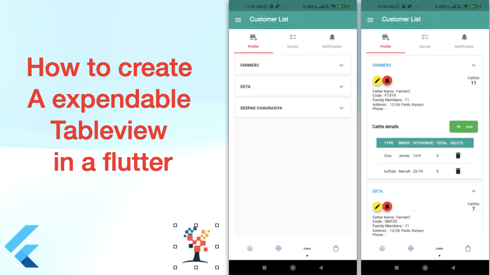 how to change the app name with an icon in Flutter | by Mukesh Kumar | Medium