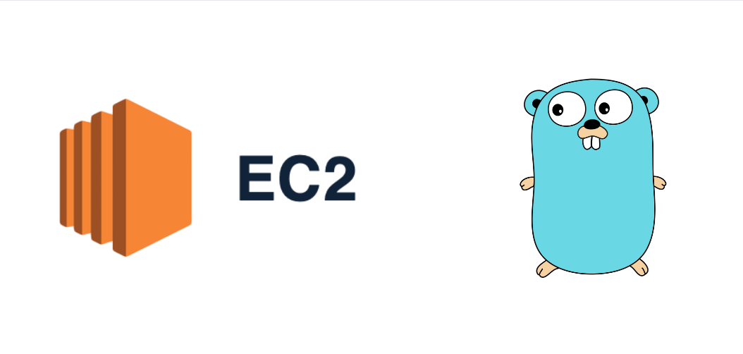 Go Pointers. Coming from a JavaScript/TypeScript… | by caro | Medium