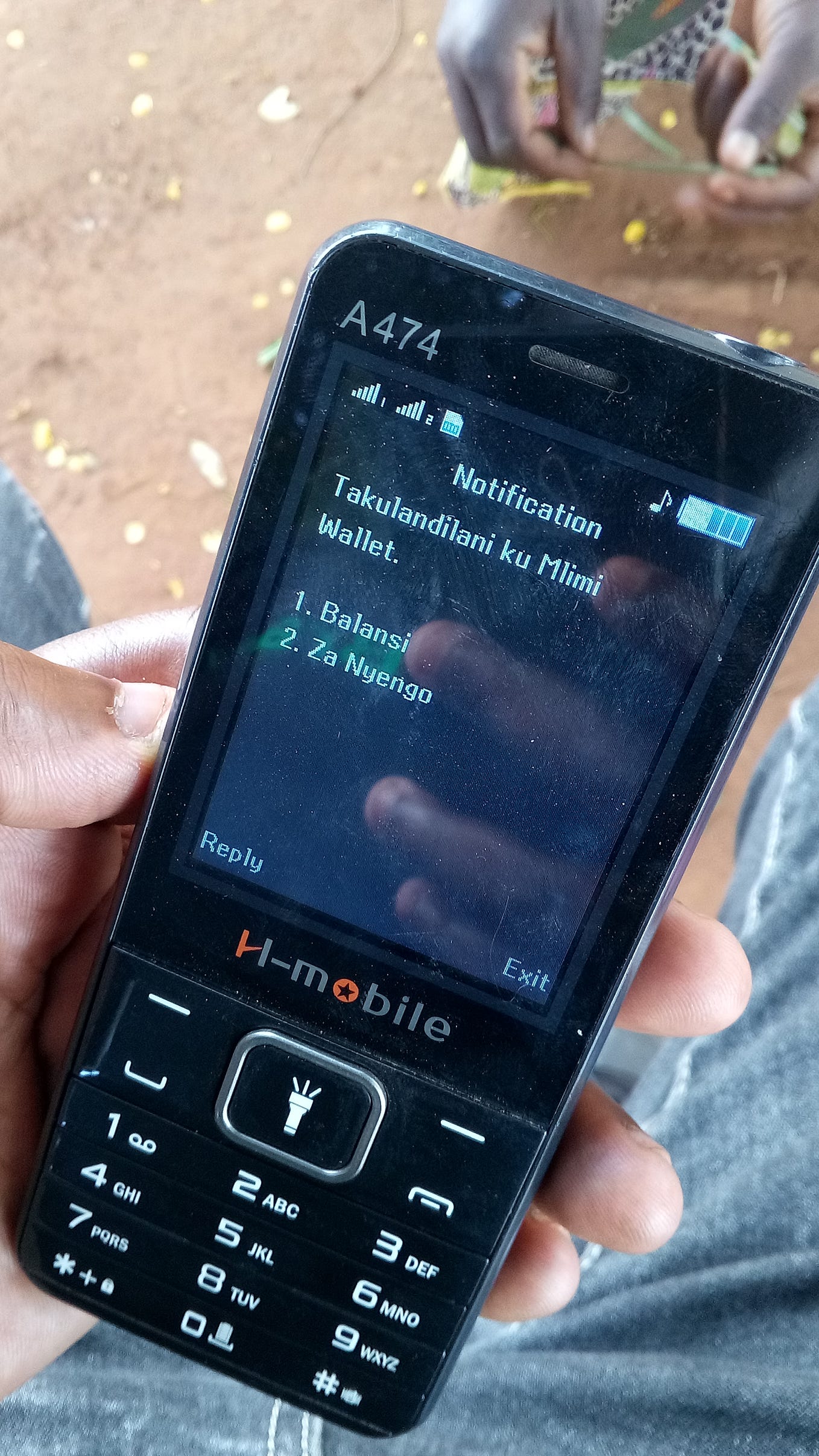 Transforming Financial Inclusion for Smallholder Farmers: Lessons ...