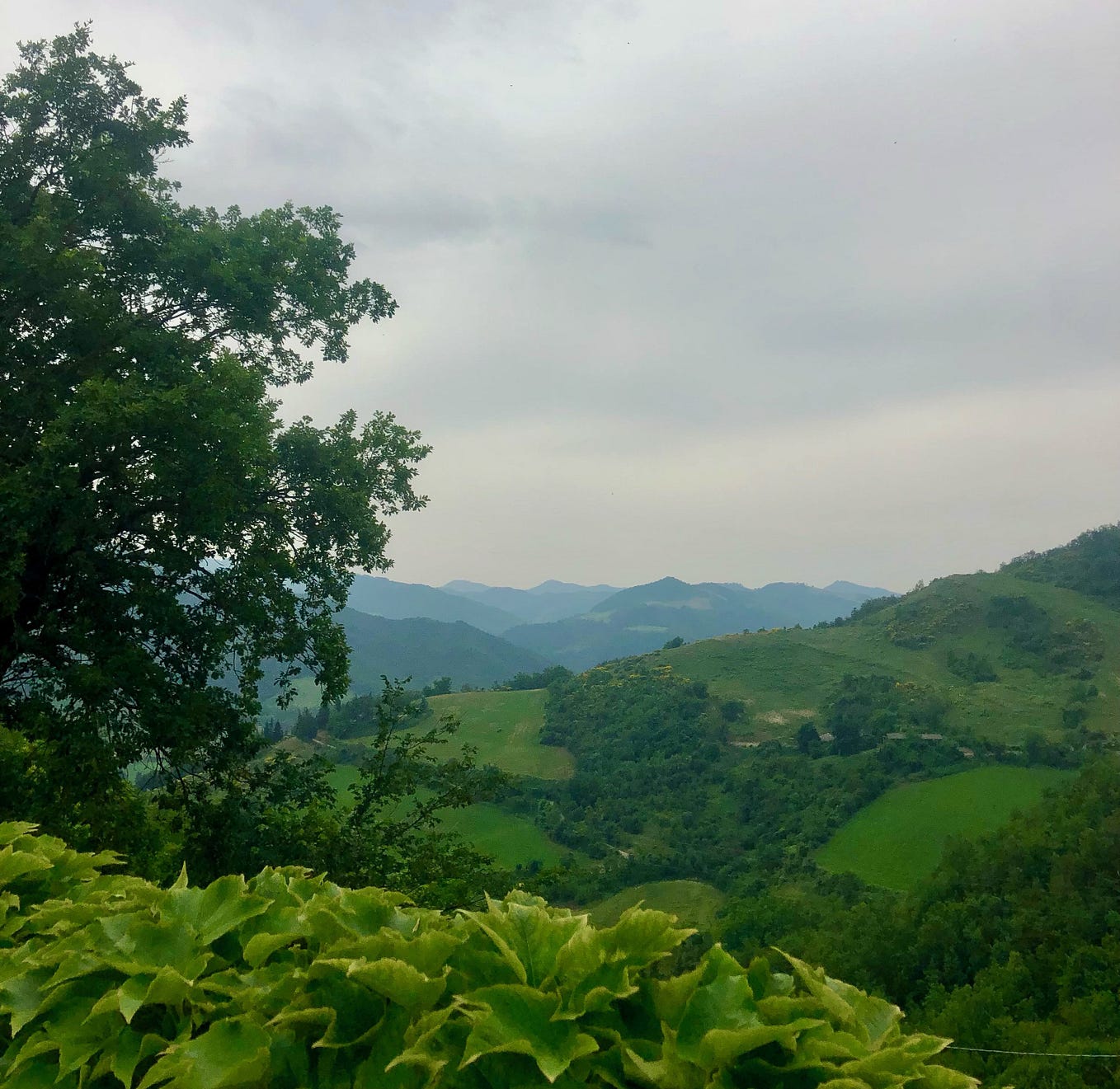 What are backbone organisations and why do our food systems need them ...